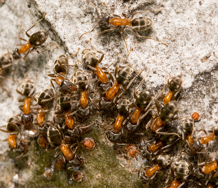 Zenfolio | Kim's Sight - Nature Photography and Artwork by Kim Moore ...